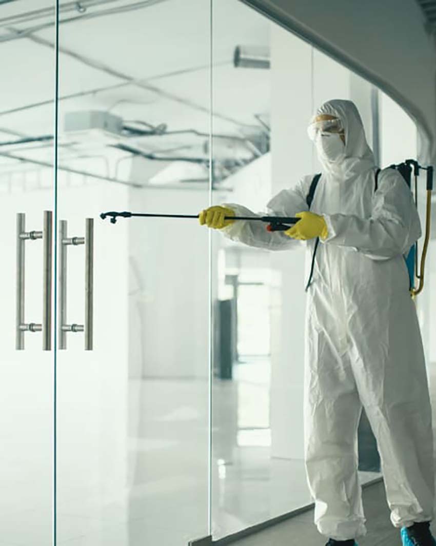 Texas Pest Solutions